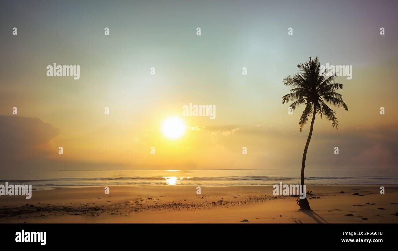 coconut tree and sunset beach in thailand Stock Photo - Alamy