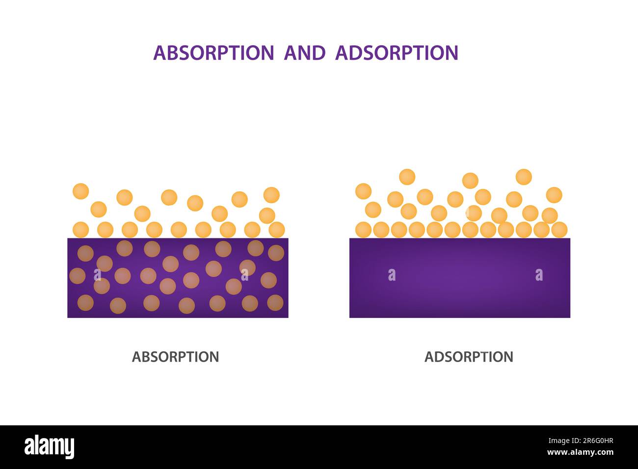 This Image Illustrates The Difference Between Adsorption And Absorption
