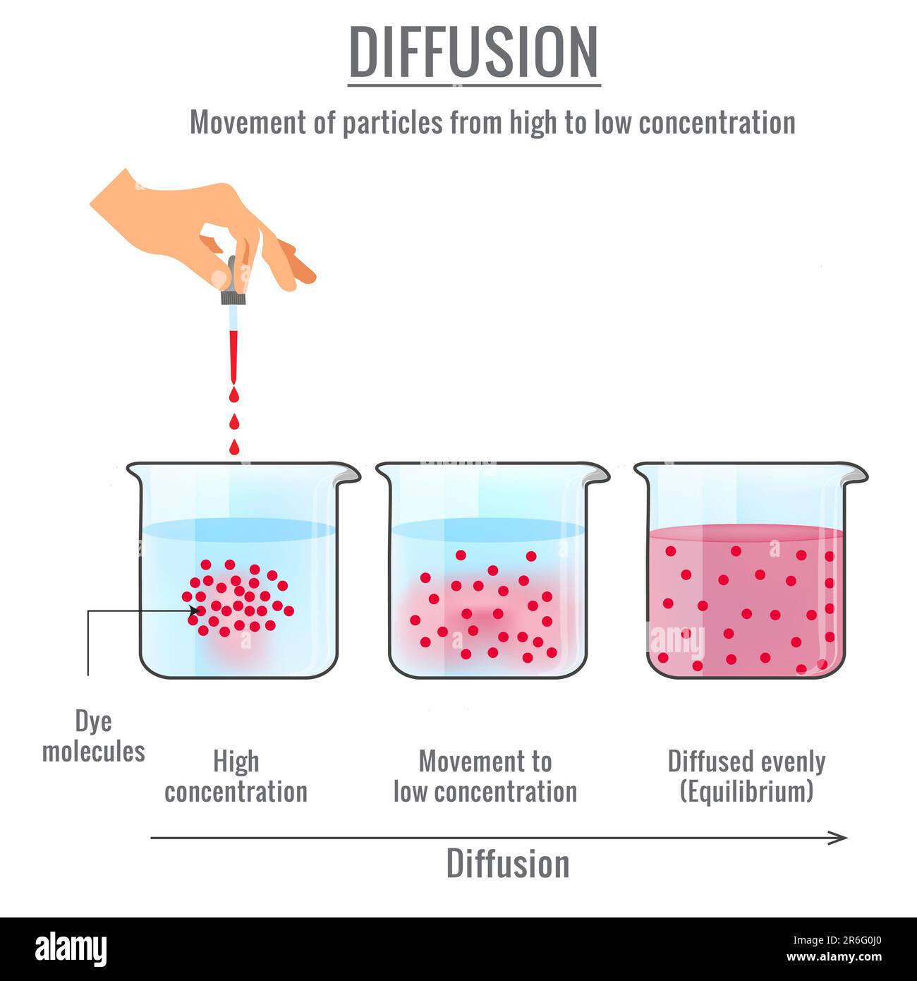 An illustration depicting the scientific phenomenon of diffusion Stock ...