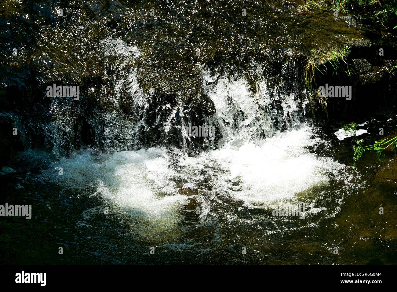 Furan hi-res stock photography and images - Alamy