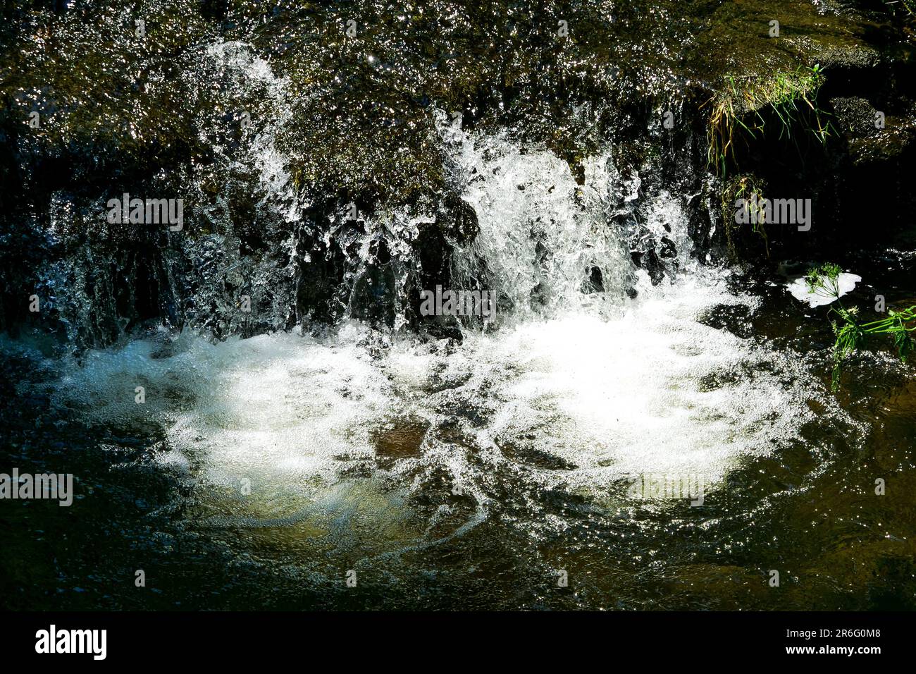 Furan hi-res stock photography and images - Alamy