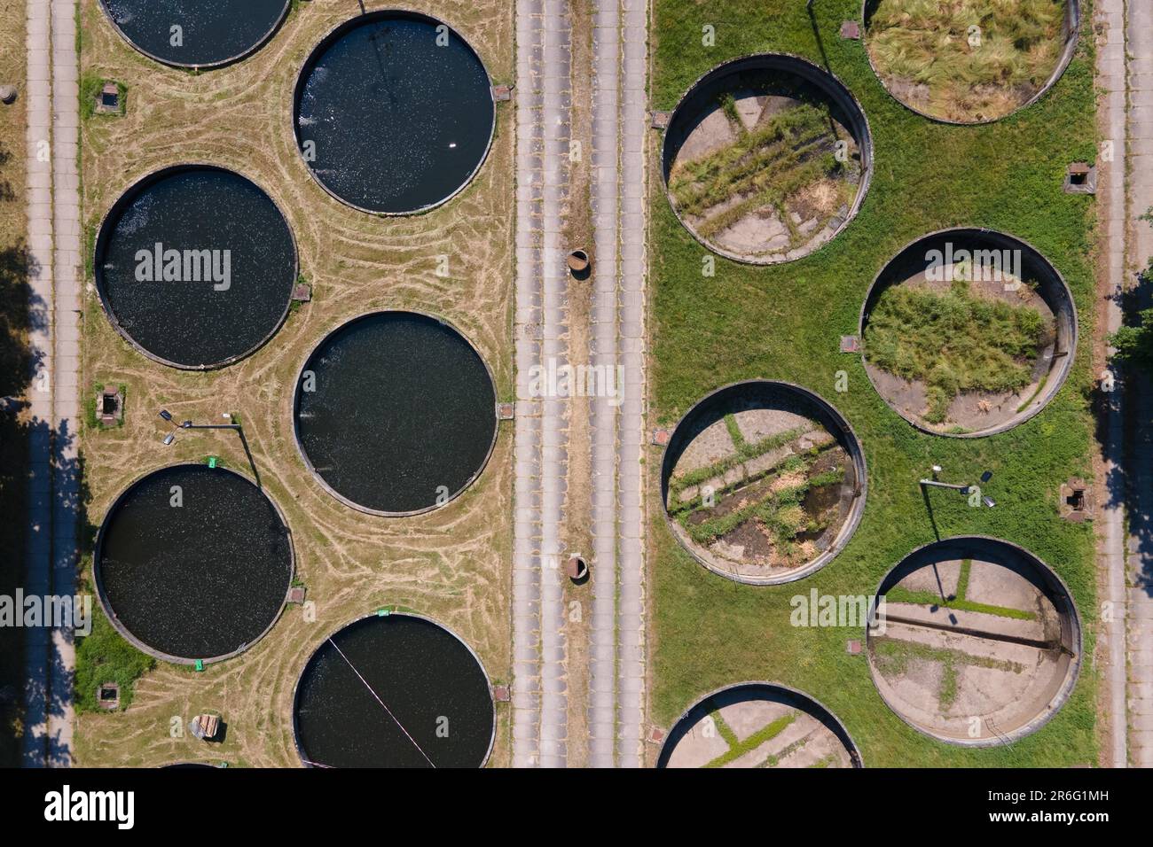 Quitzdorf, Germany. 09th June, 2023. The fishing ponds of Kreba Fisch ...
