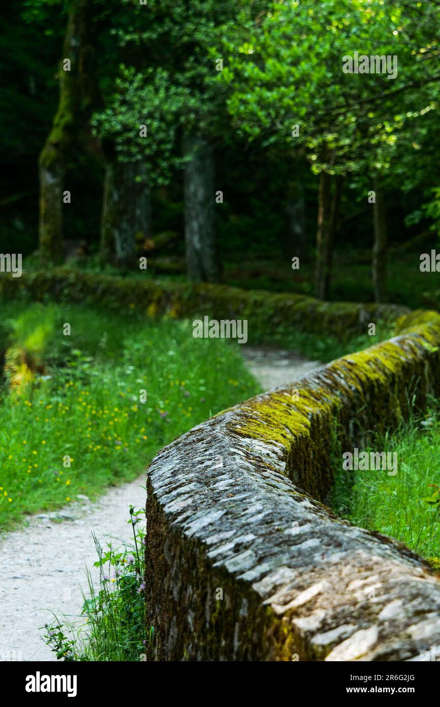 Footpath, Val d'Enfer, Pilat massif, Loire, France Stock Photo - Alamy