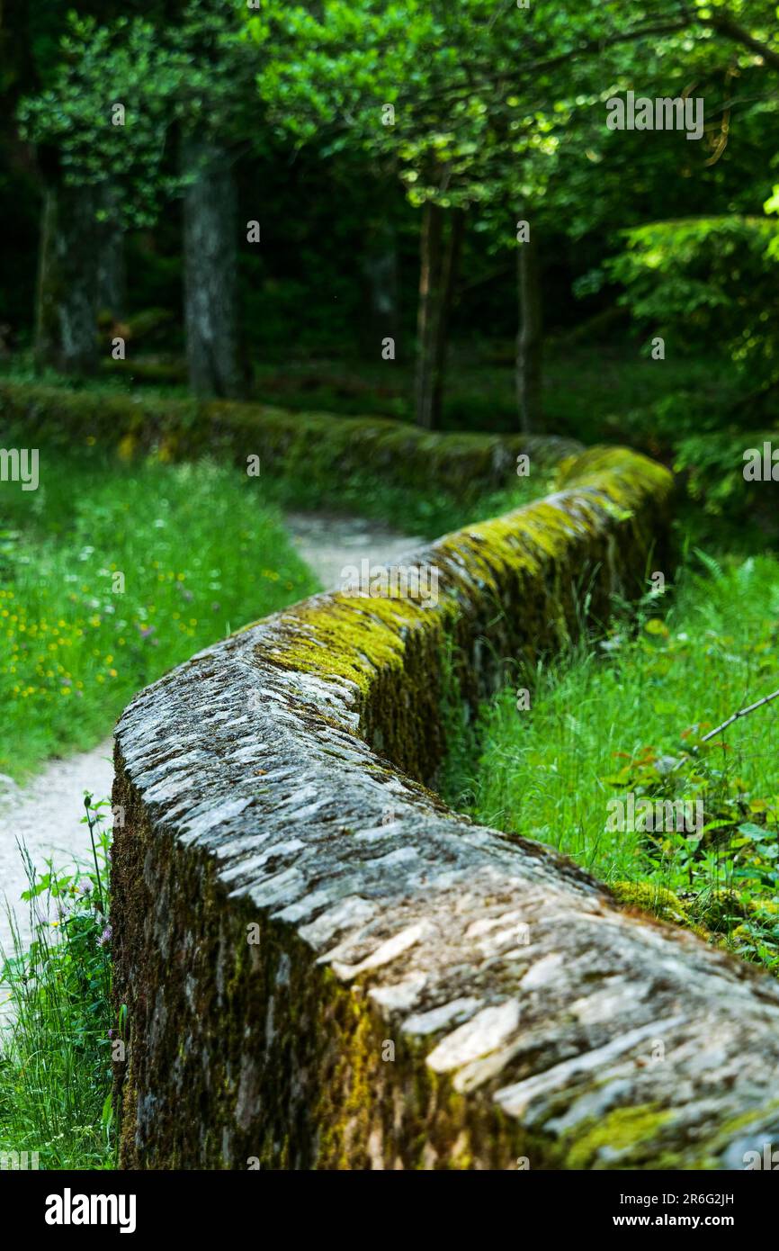 Footpath, Val d'Enfer, Pilat massif, Loire, France Stock Photo - Alamy