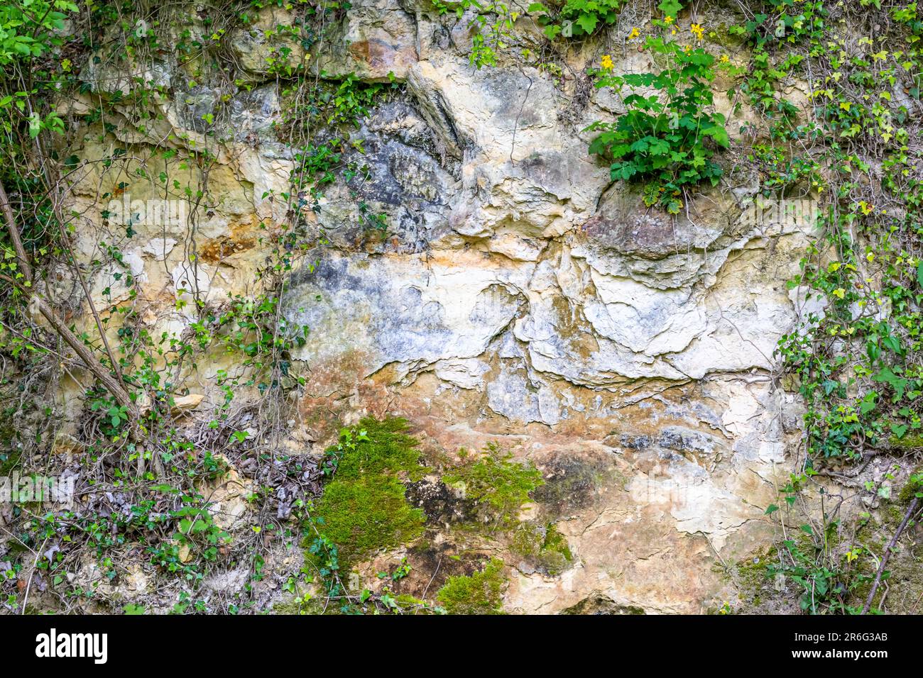 Close-up of an irregular and cracked limestone wall of a hill, climbing ...