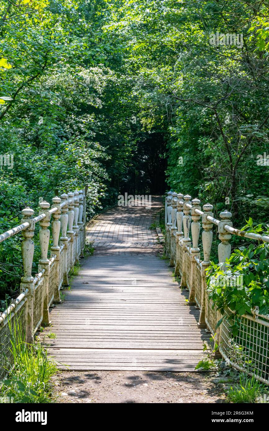 Path leading garden river bridge hi-res stock photography and images ...
