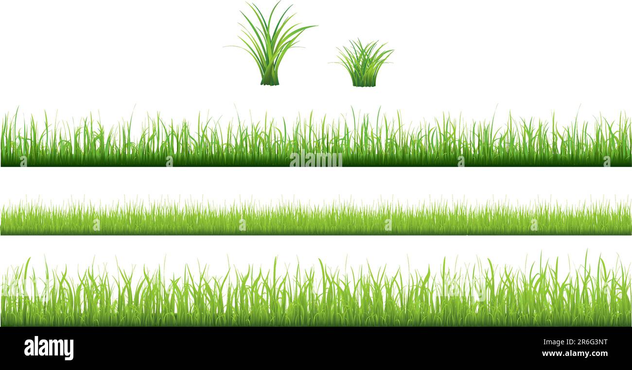 3 backgrounds of green grass and 2 tufts of grass Stock Vector Image ...