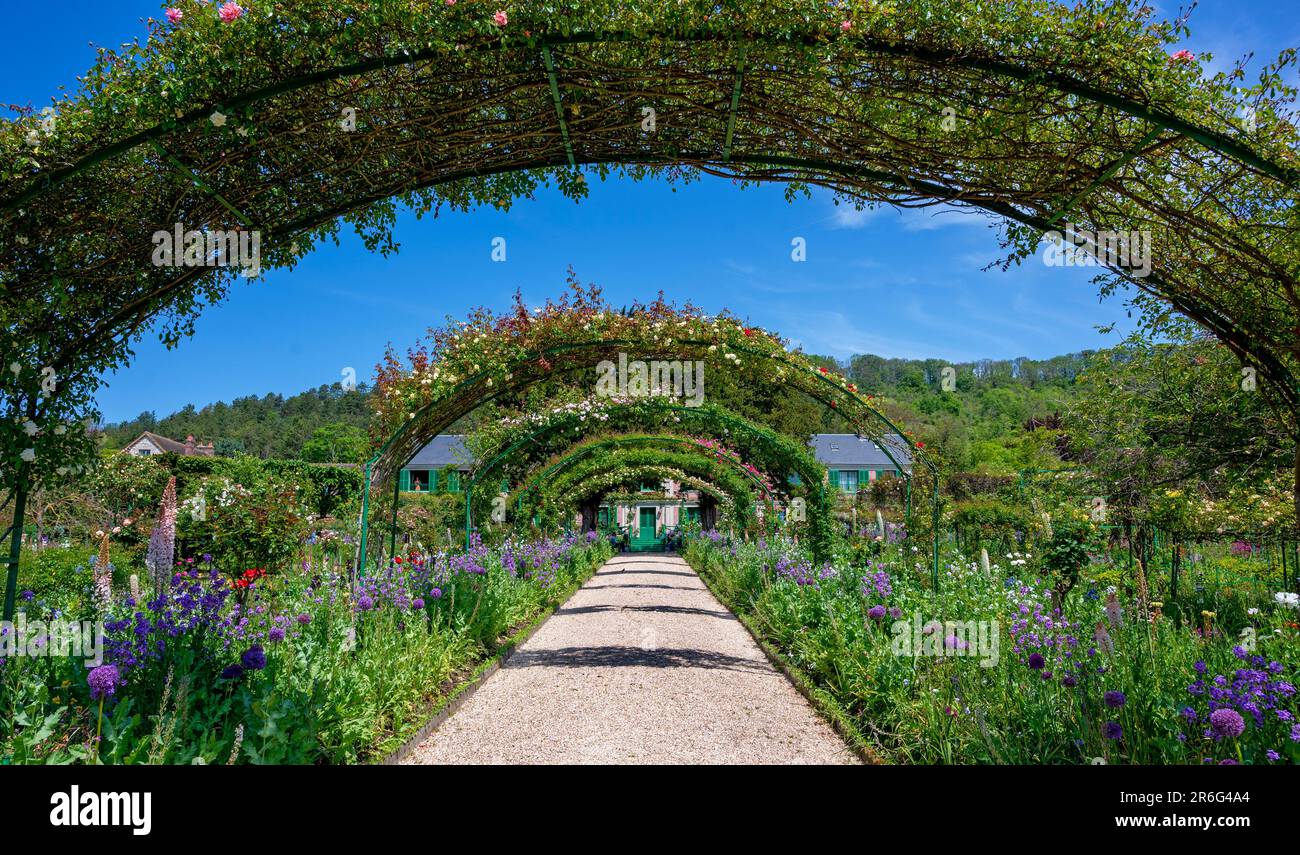 gravel path under rose arches between flourishing plants at the former ...