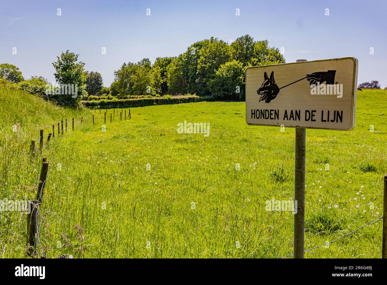 Metal sign with inscription: Honden aan de lijn, meaning: Keep your dog ...
