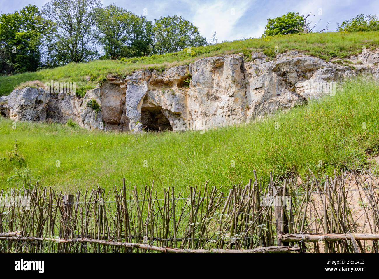 Creepy tree tunnel hi-res stock photography and images - Alamy