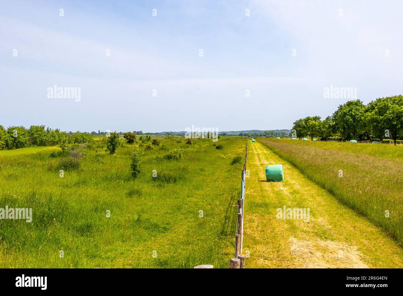 Landscape of an agricultural farm plot with hay bales wrapped in green ...
