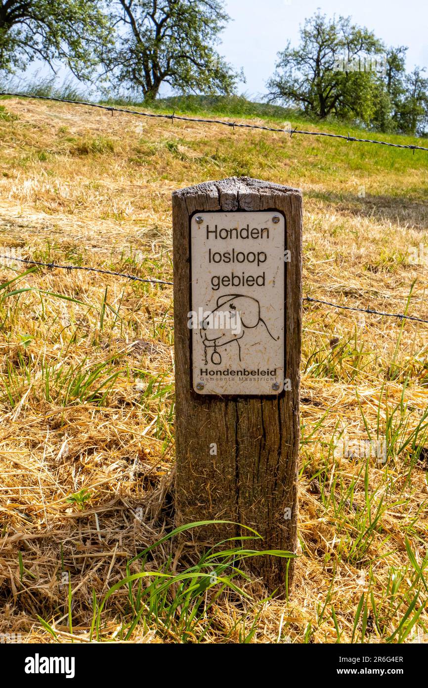 Dog free zone warning sign hi-res stock photography and images - Alamy