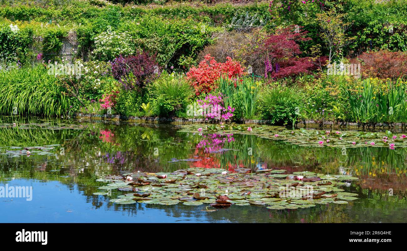 water lily pond with flourishing plants in the former garden of the ...