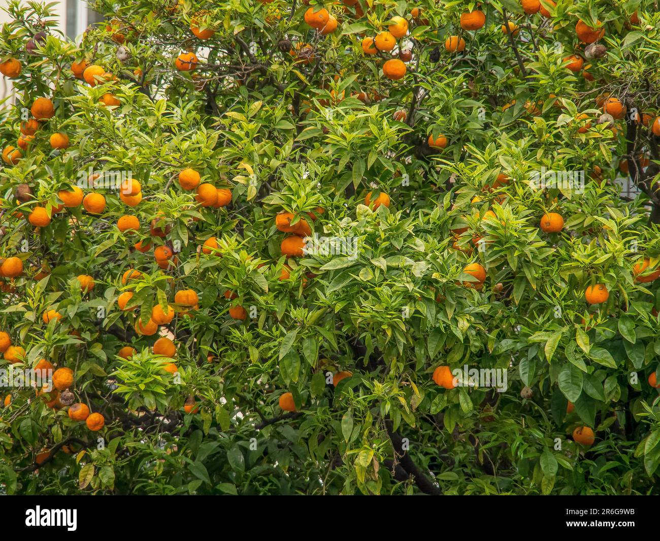 the city of Cannes in france Stock Photo - Alamy