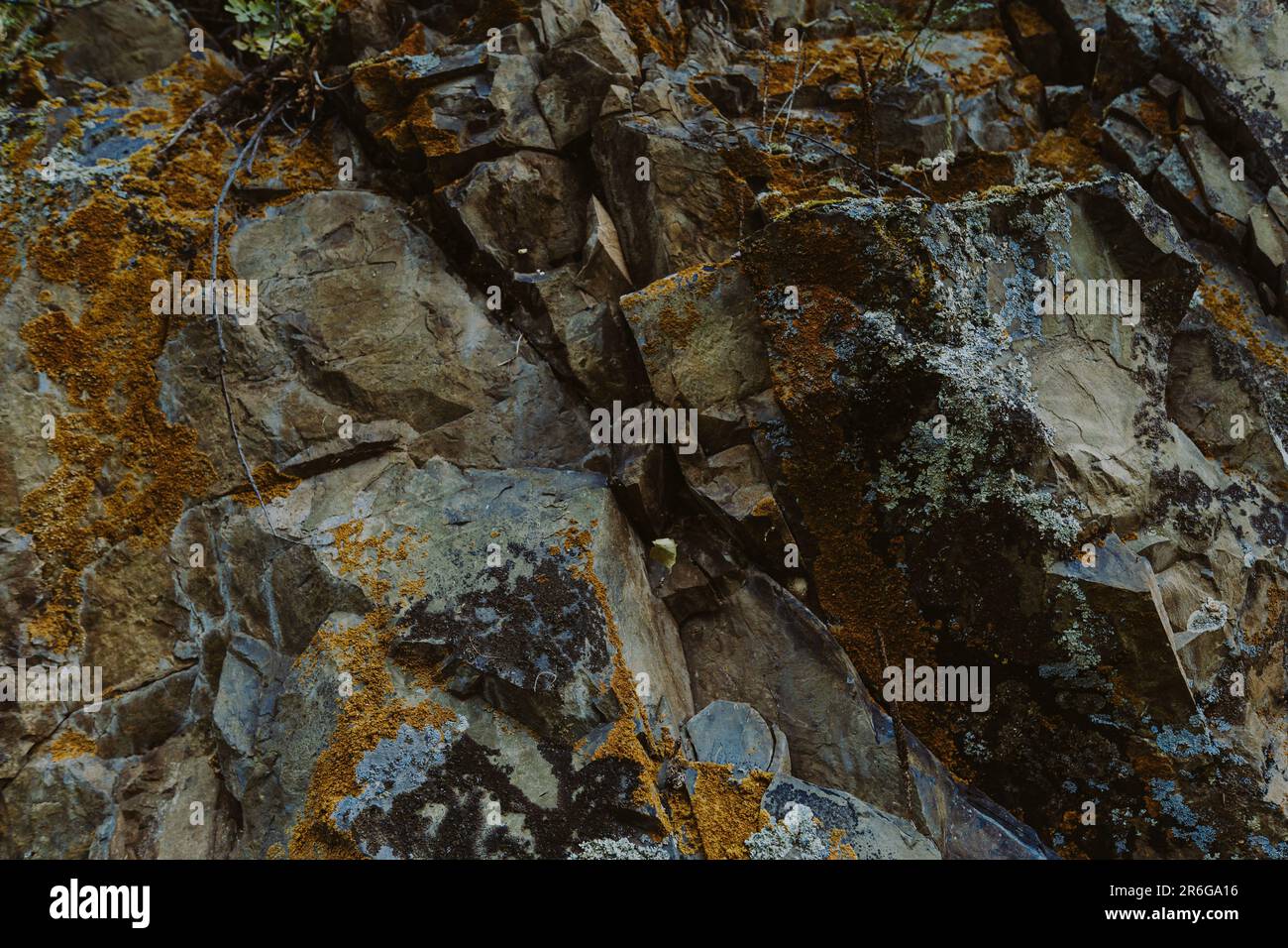 Rough texture of organic stone. Natural rock background with colored ...