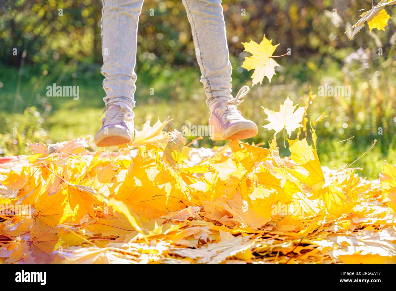 Girl kid jumping on trampoline with autumn leaves. Bright yellow orange ...