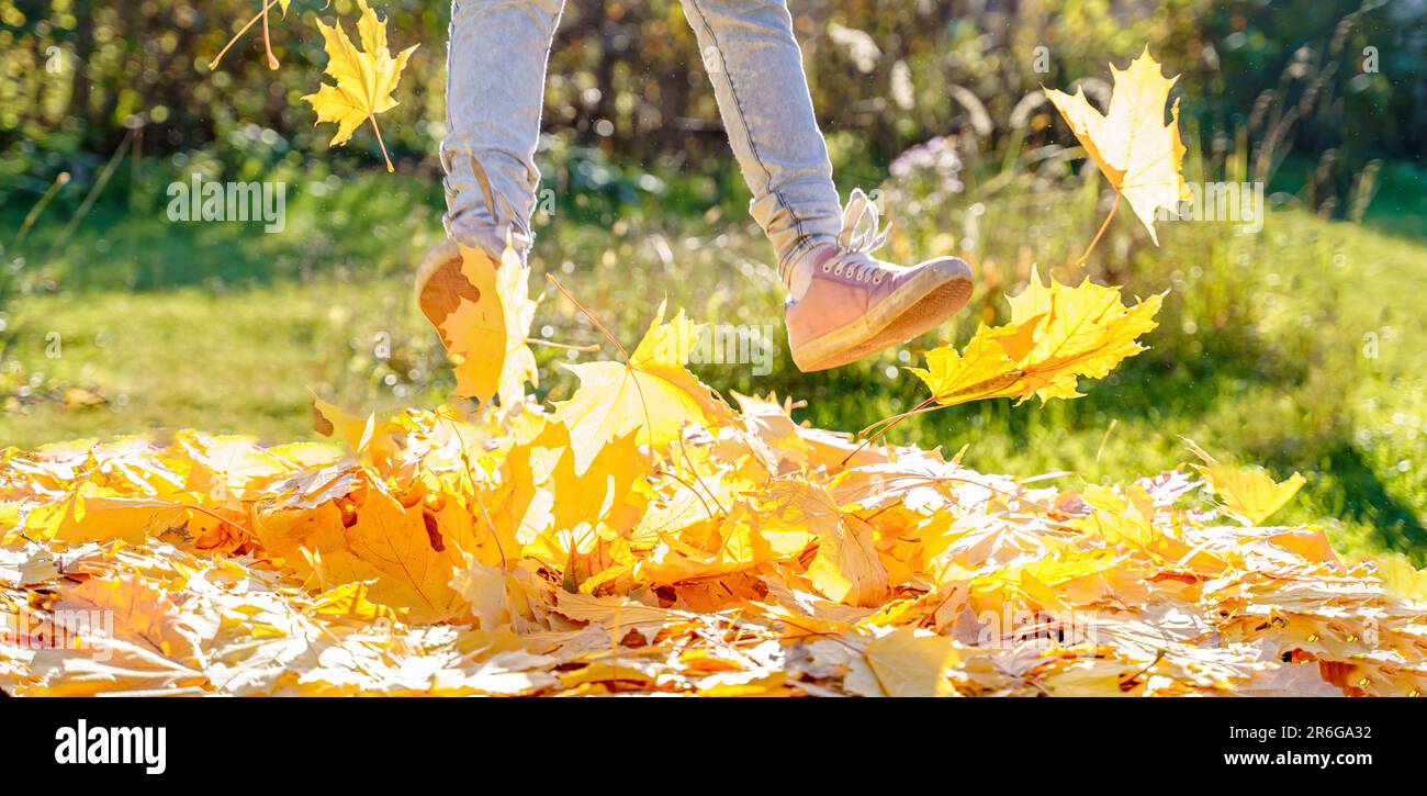 Girl kid jumping on trampoline with autumn leaves. Bright yellow orange ...