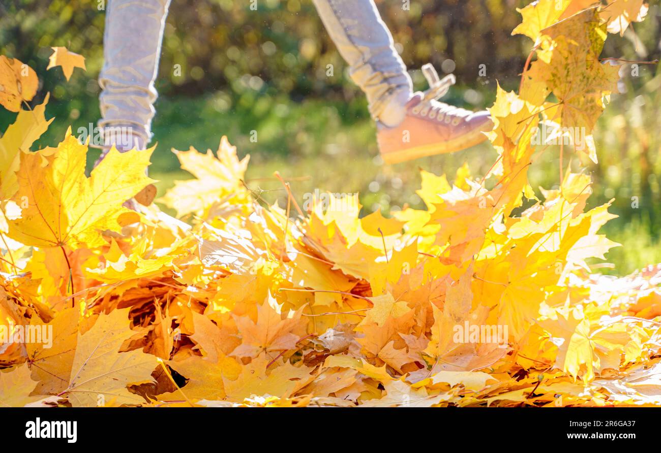 Girl kid jumping on trampoline with autumn leaves. Bright yellow orange ...
