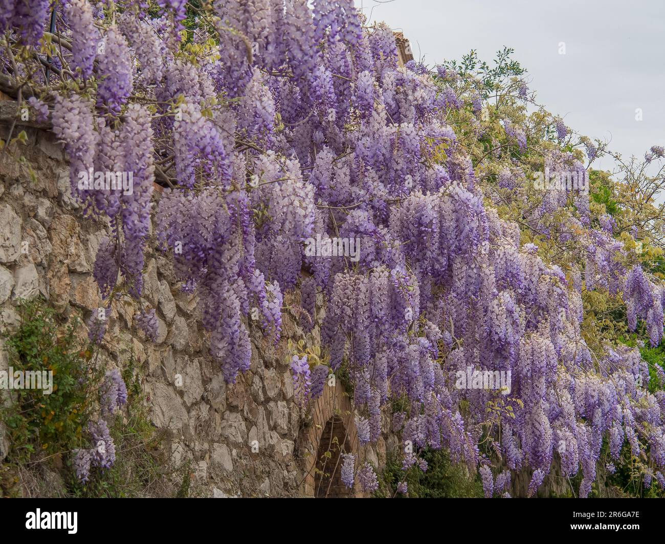 the city of Cannes in france Stock Photo - Alamy