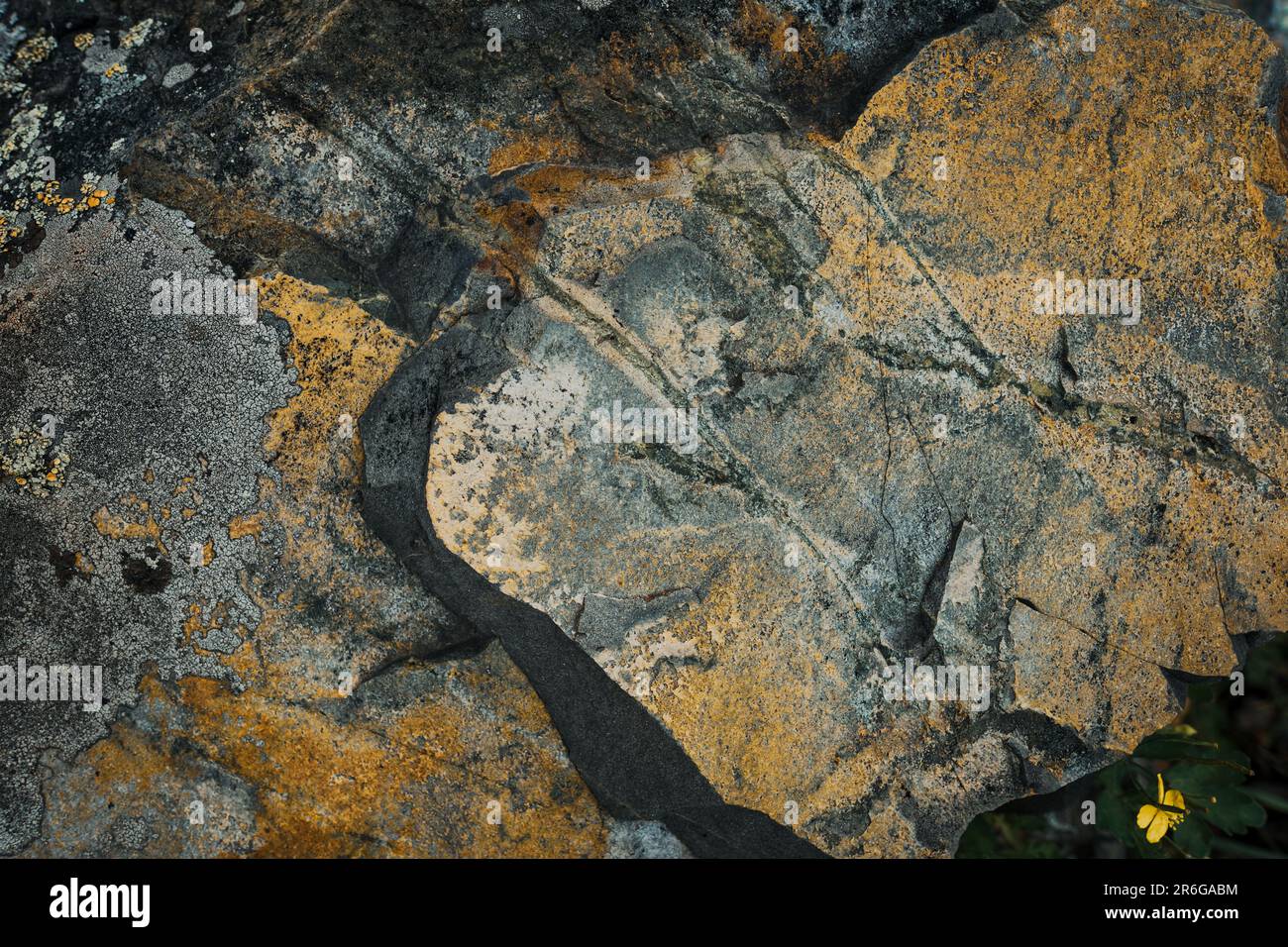 Natural background with stone texture and rough cut and shards Stock ...