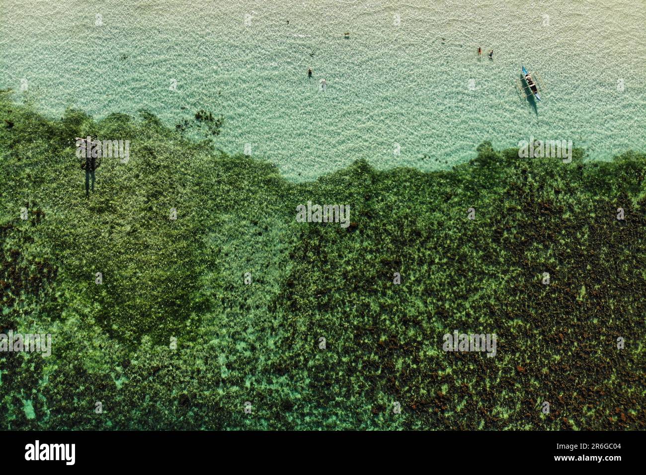 Leisurely swim hi-res stock photography and images - Alamy