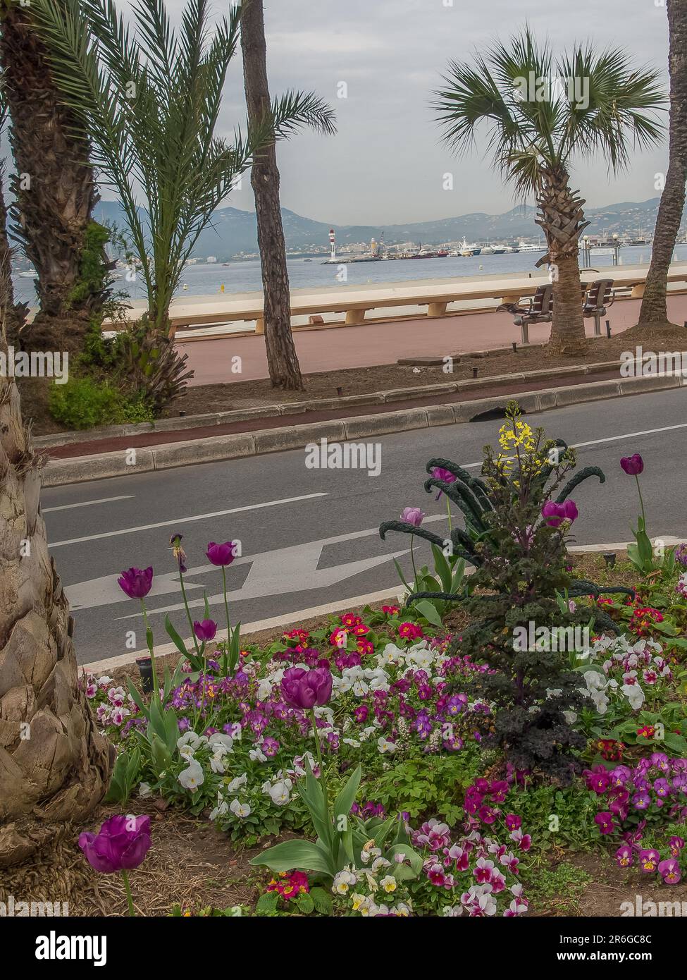 the city of Cannes in france Stock Photo - Alamy