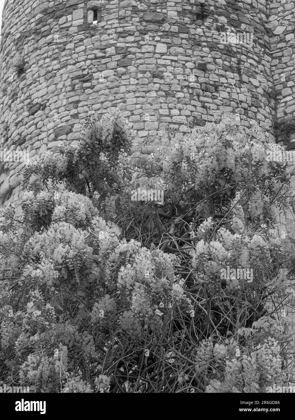 the city of Cannes in france Stock Photo - Alamy