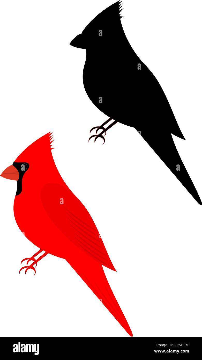 Cardinal bird Stock Vector Images - Alamy