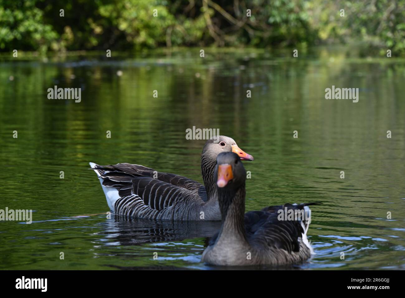 Revontuli coast hi-res stock photography and images - Alamy