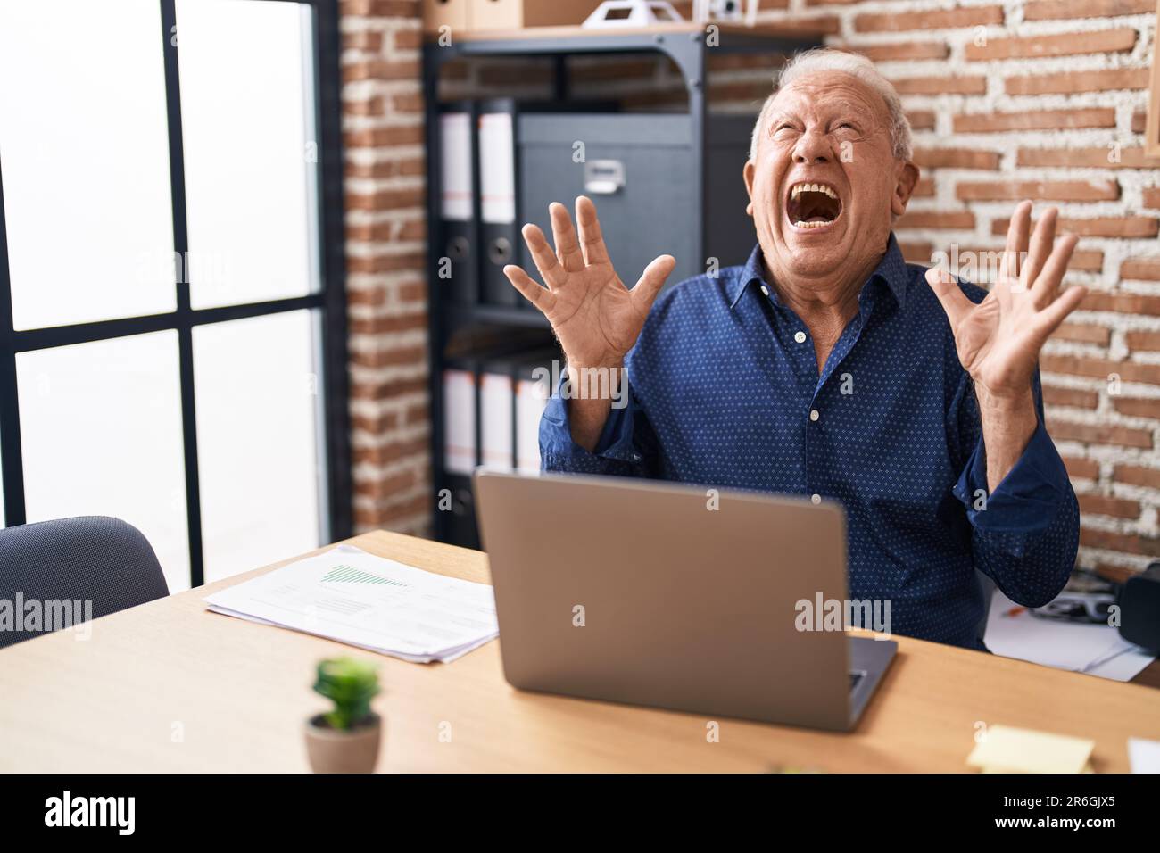 Senior man with grey hair working using computer laptop at the office ...