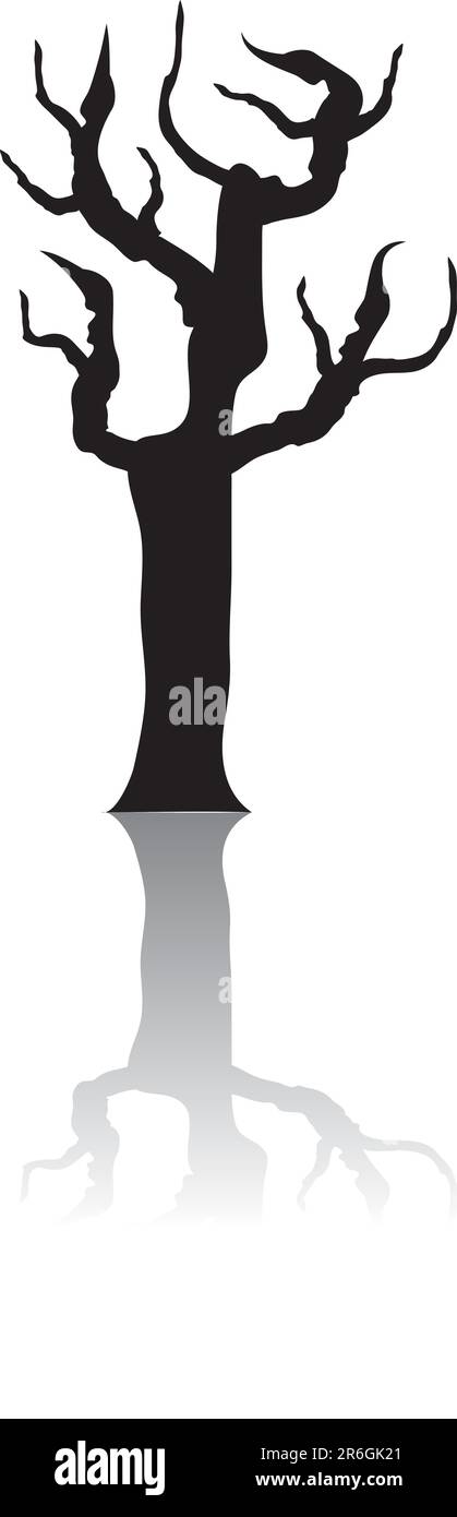 Tall pine tree reflection Stock Vector Images - Alamy