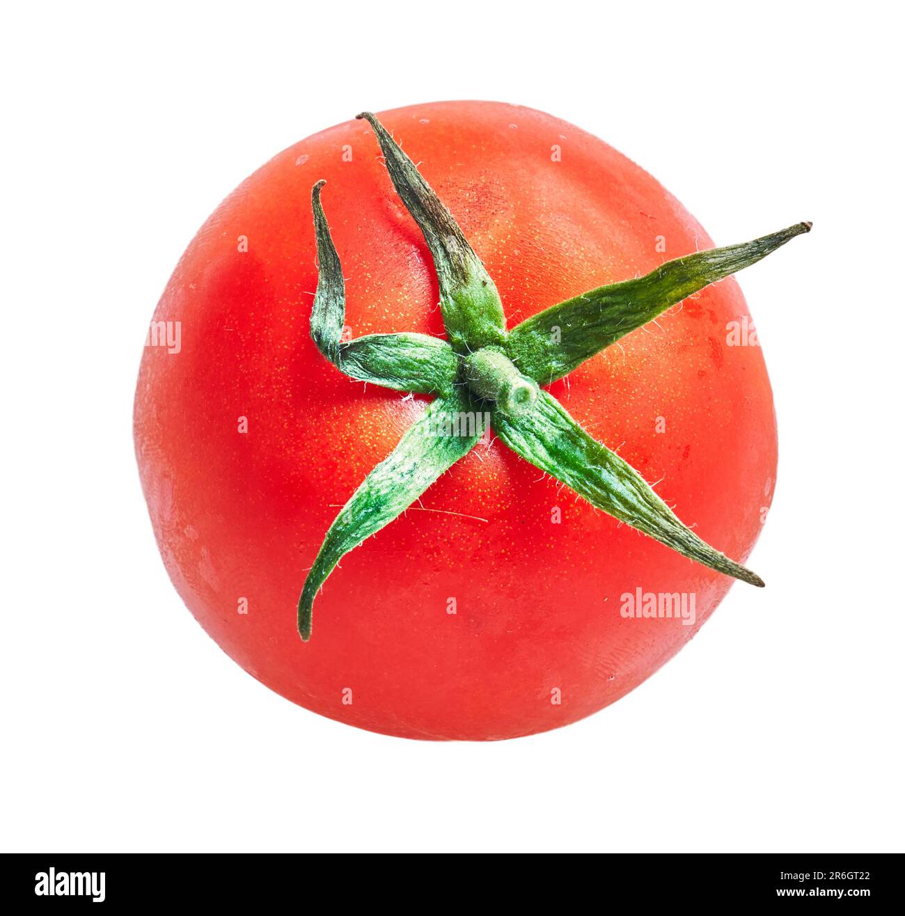 Delicious single tomato over isolated white background Stock Photo - Alamy