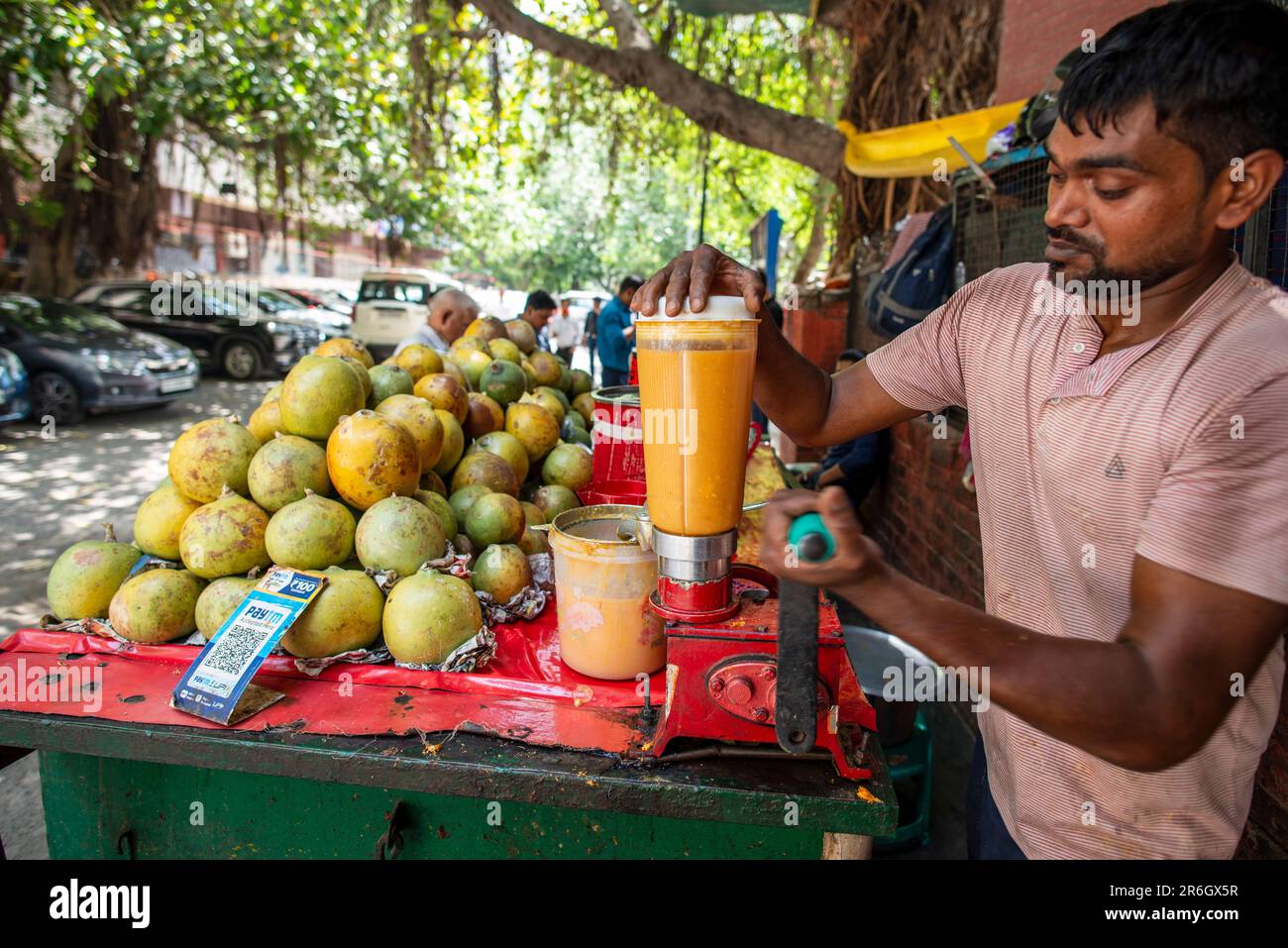 A man seen making Beal juice (Aegle marmelos fruit juice with medicinal ...