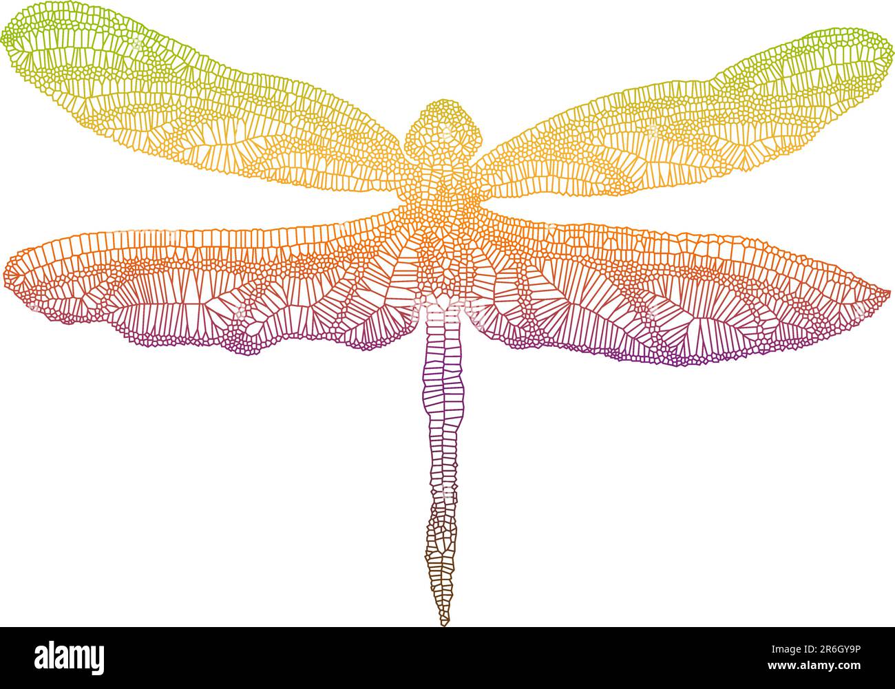 Delicate wing pattern hi-res stock photography and images - Alamy