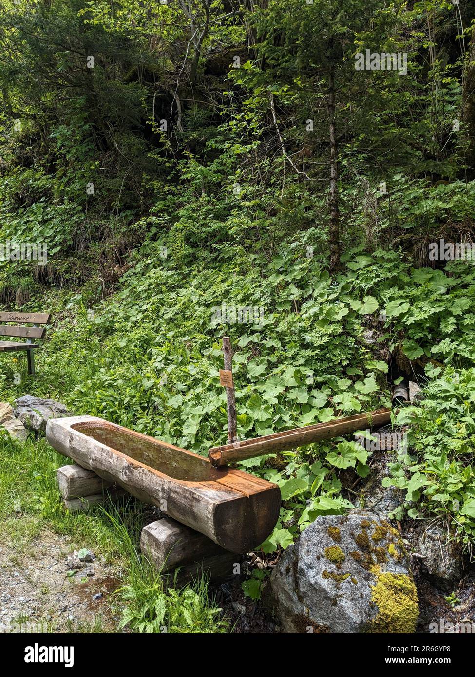 An idyllic outdoor scene featuring two wooden benches situated atop a ...