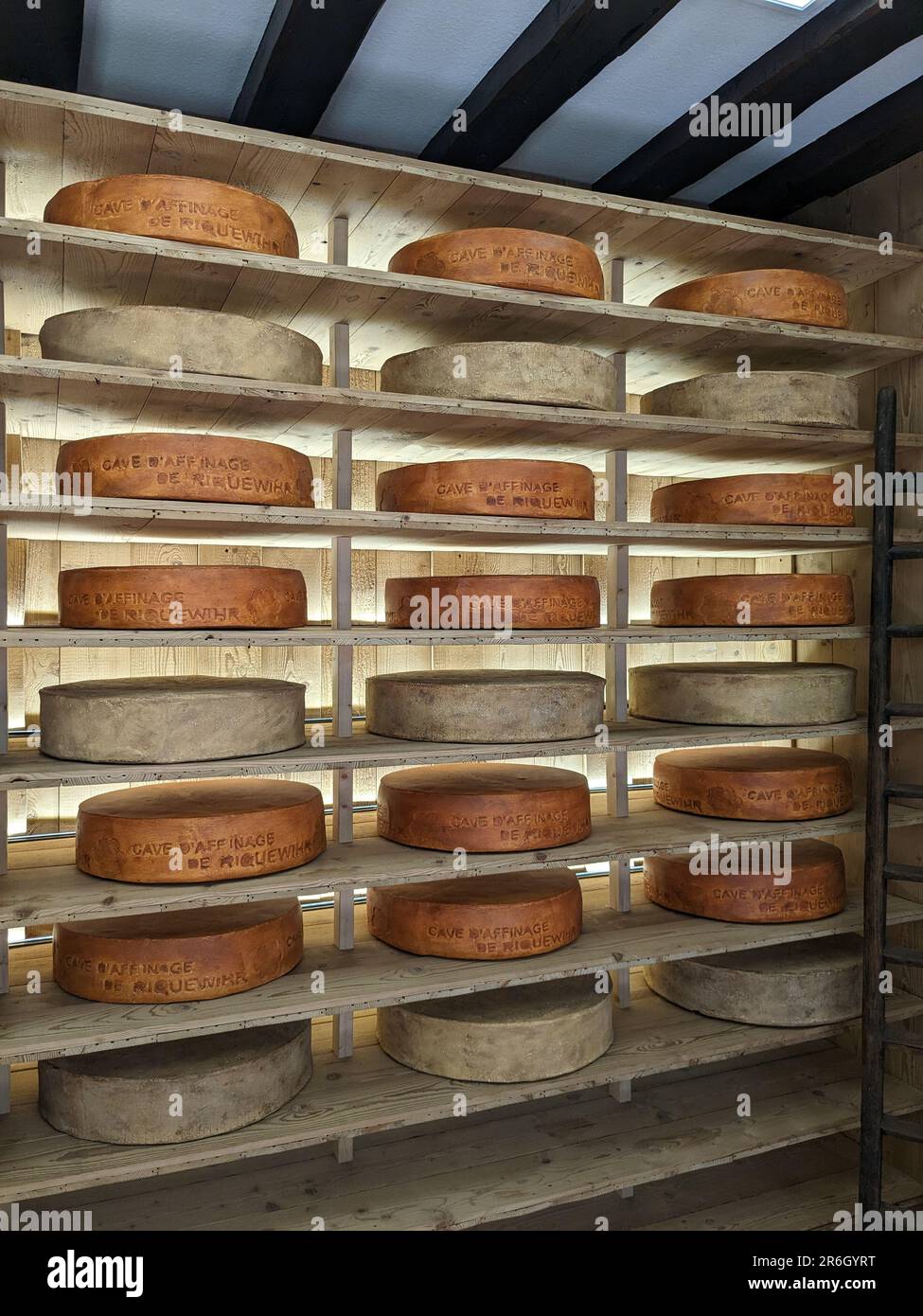 Edam wheels hi-res stock photography and images - Alamy