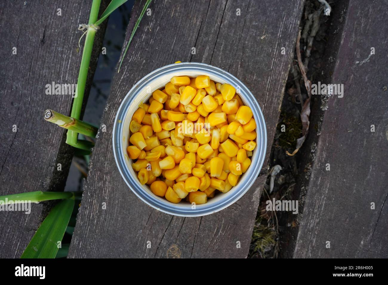 Bait casting reel hi-res stock photography and images - Alamy