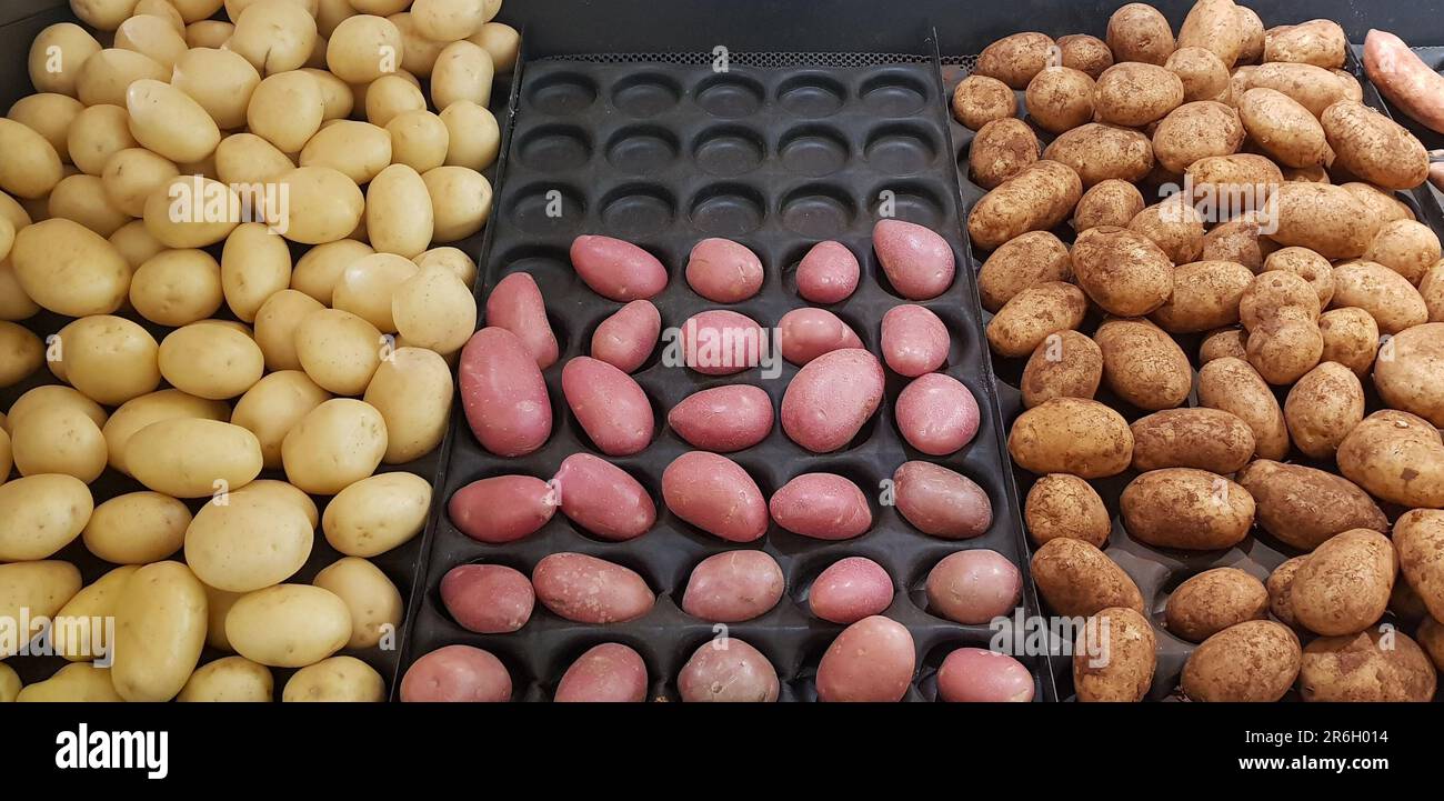 Fresh potatoes ready for sale at a local market Stock Photo - Alamy