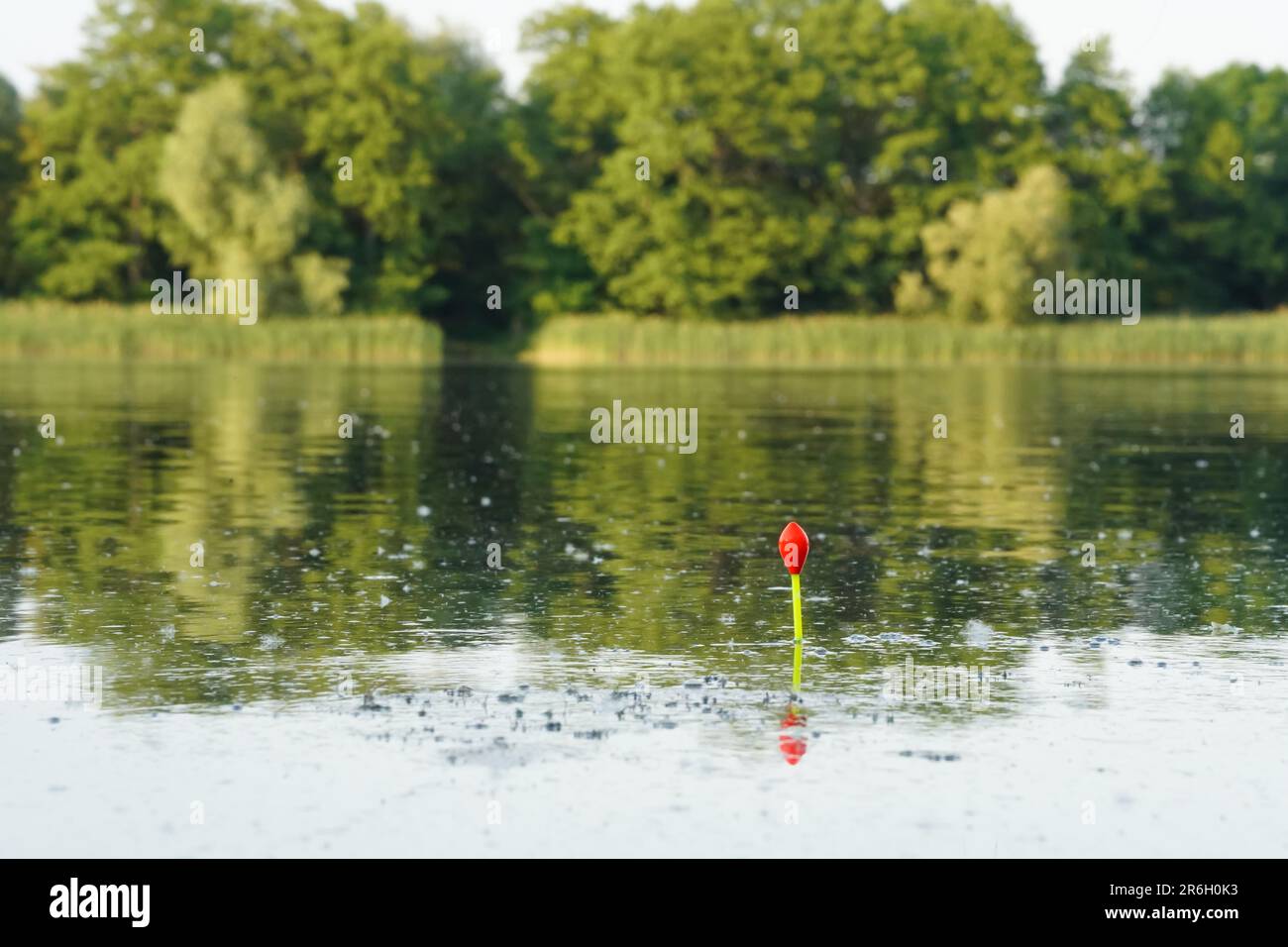Fishing bobber floating on the lake. Fishing float in the lake. Fishing ...