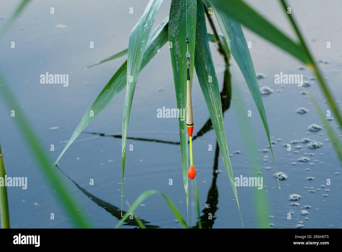 Fishing float in the air over the air. Fishing bobber at the lake in ...