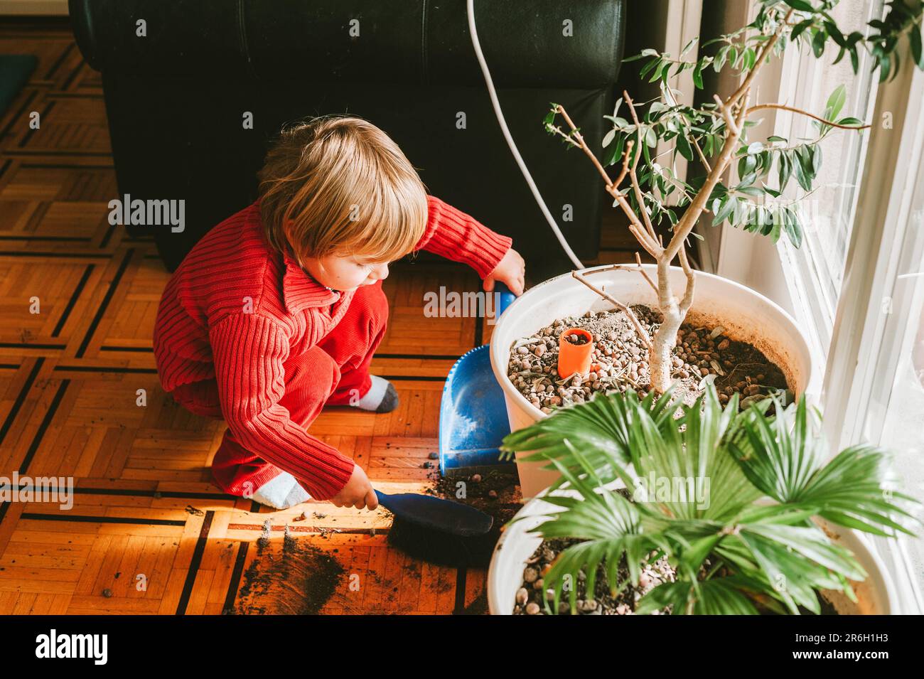 Very messy baby cleaning plant soil from the floor Stock Photo - Alamy