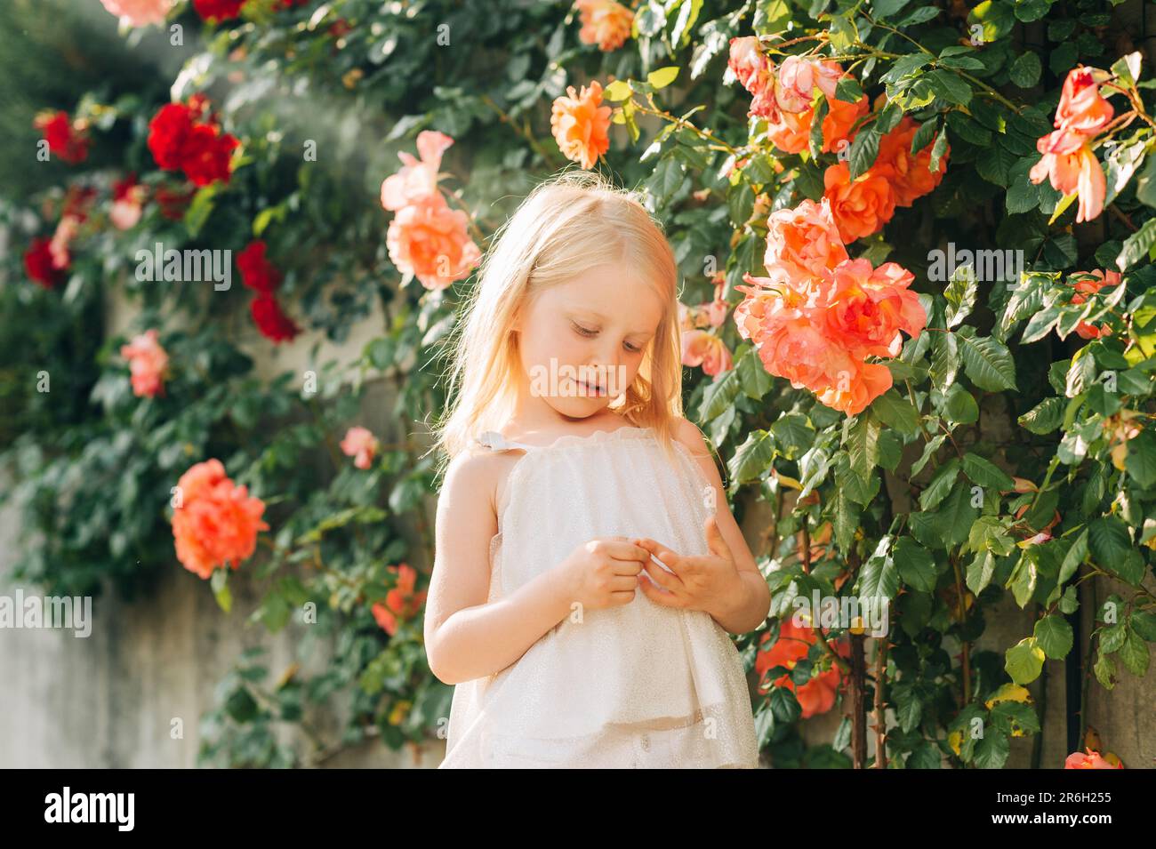 Outdoor summer portrait of adorable 5 year old little girl playing in ...