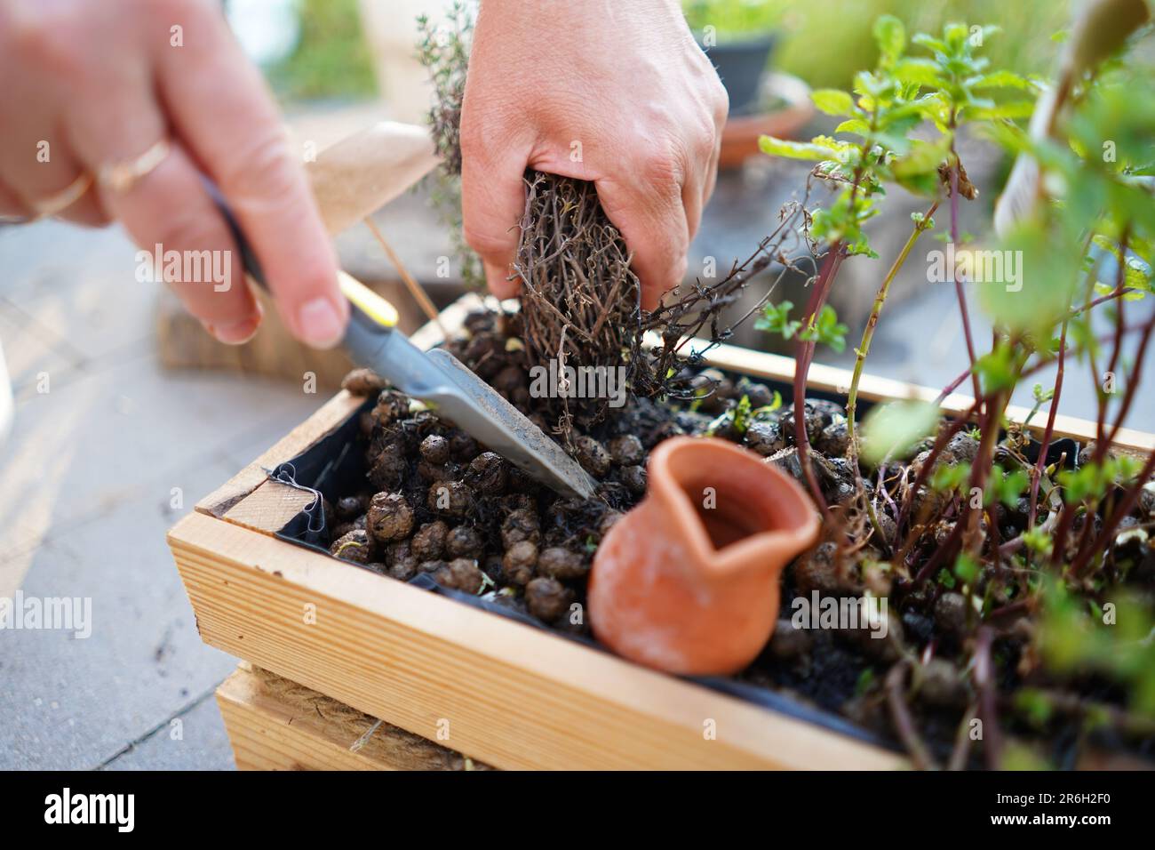 Seeding planting hi-res stock photography and images - Alamy