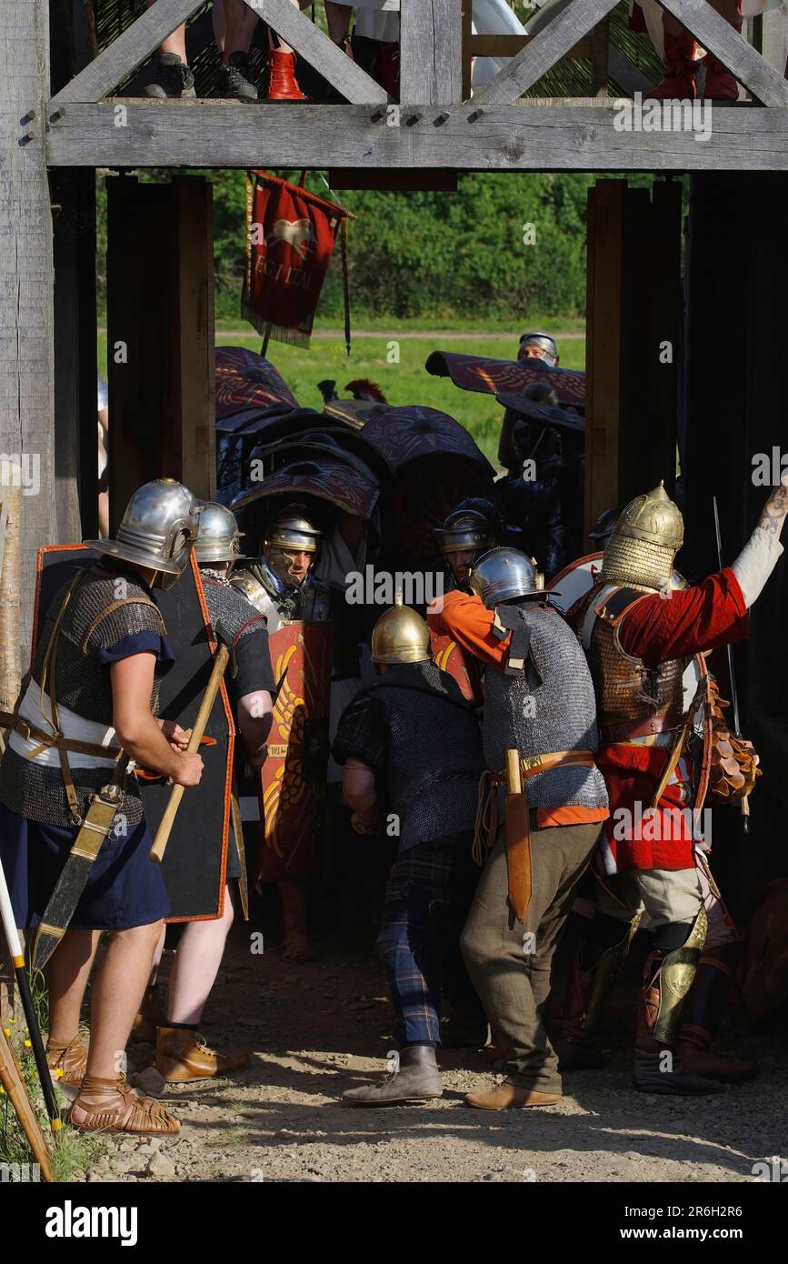 Roman Fort, Roman Event, Park in the Past, Auxilia, Holt, Wrexham, North East Wales Stock Photo ...
