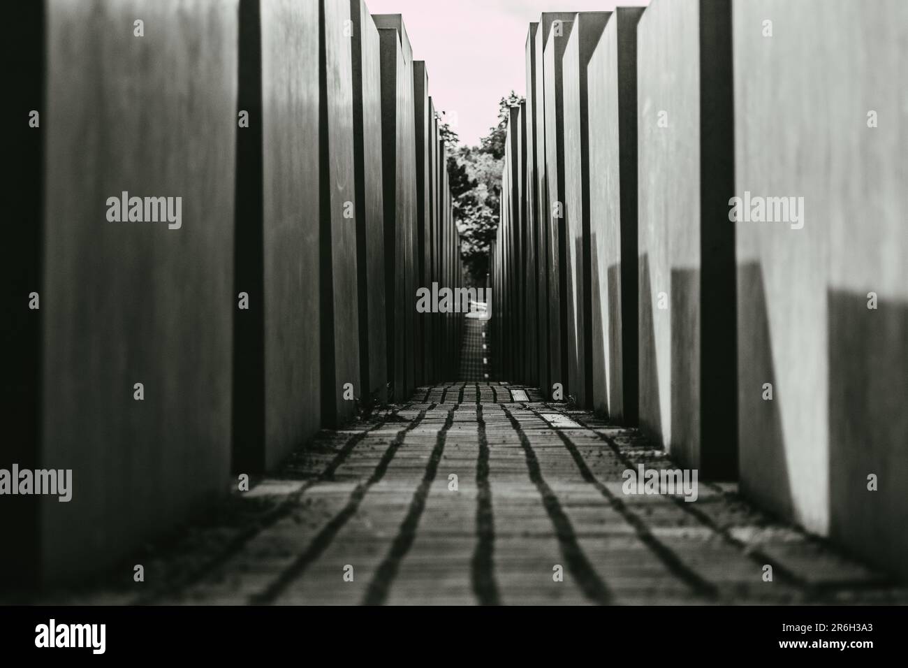 A trope with several walls isolating it from the outside world Stock ...