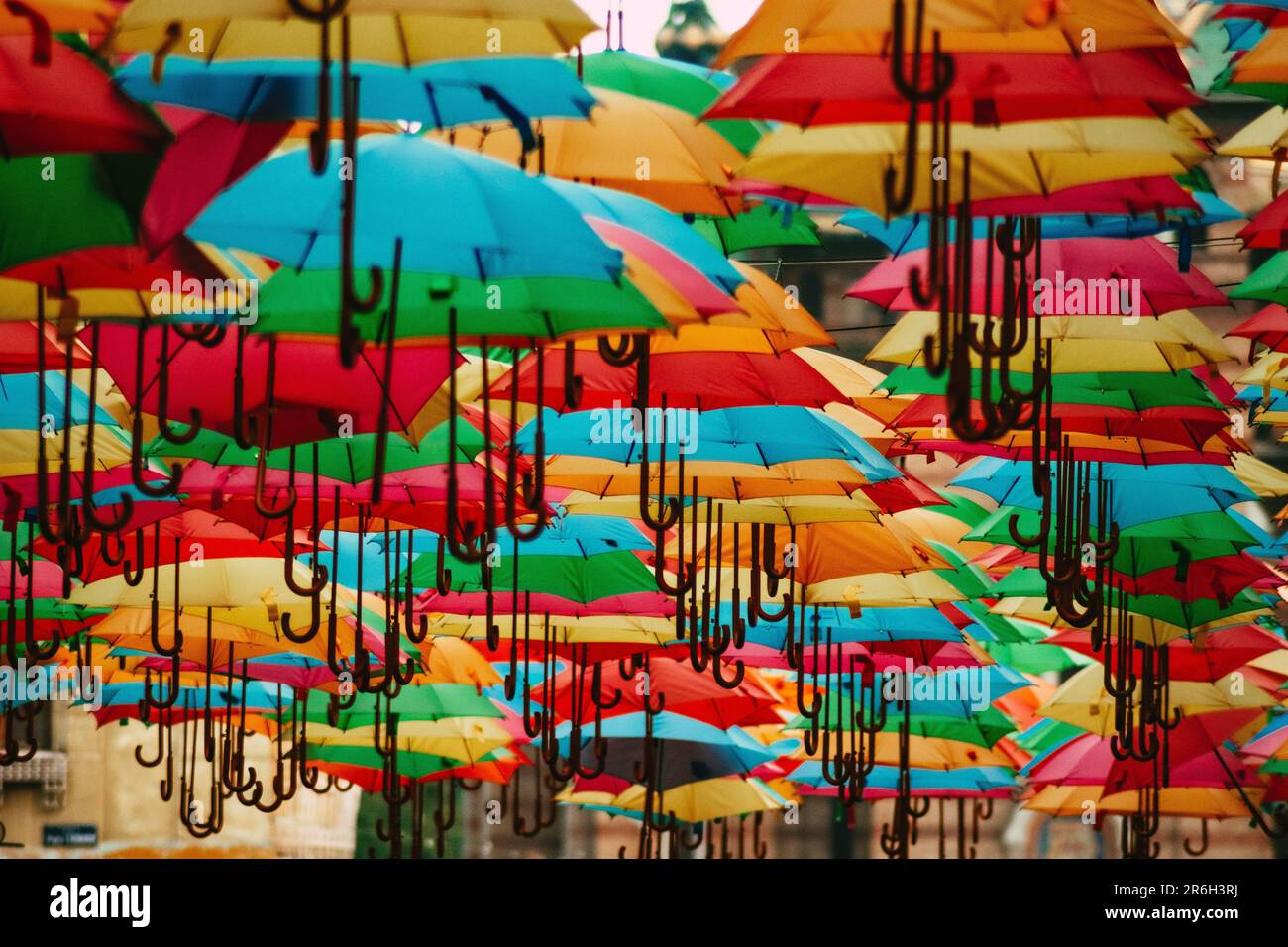A vibrant and cheerful scene of a park area with colorful umbrellas ...