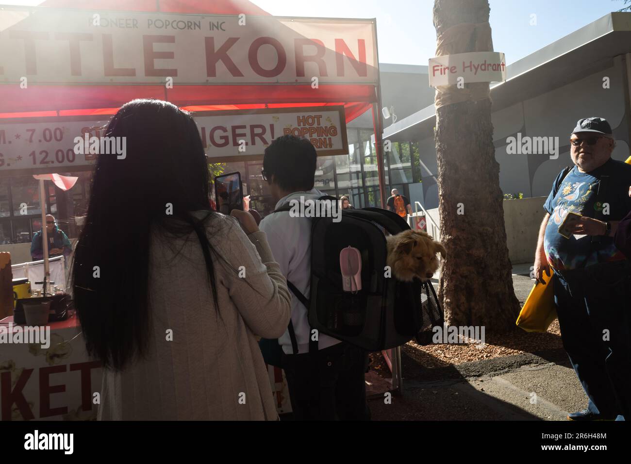 Seattle, USA. 28th May, 2023. The Folklife festival at the Seattle ...