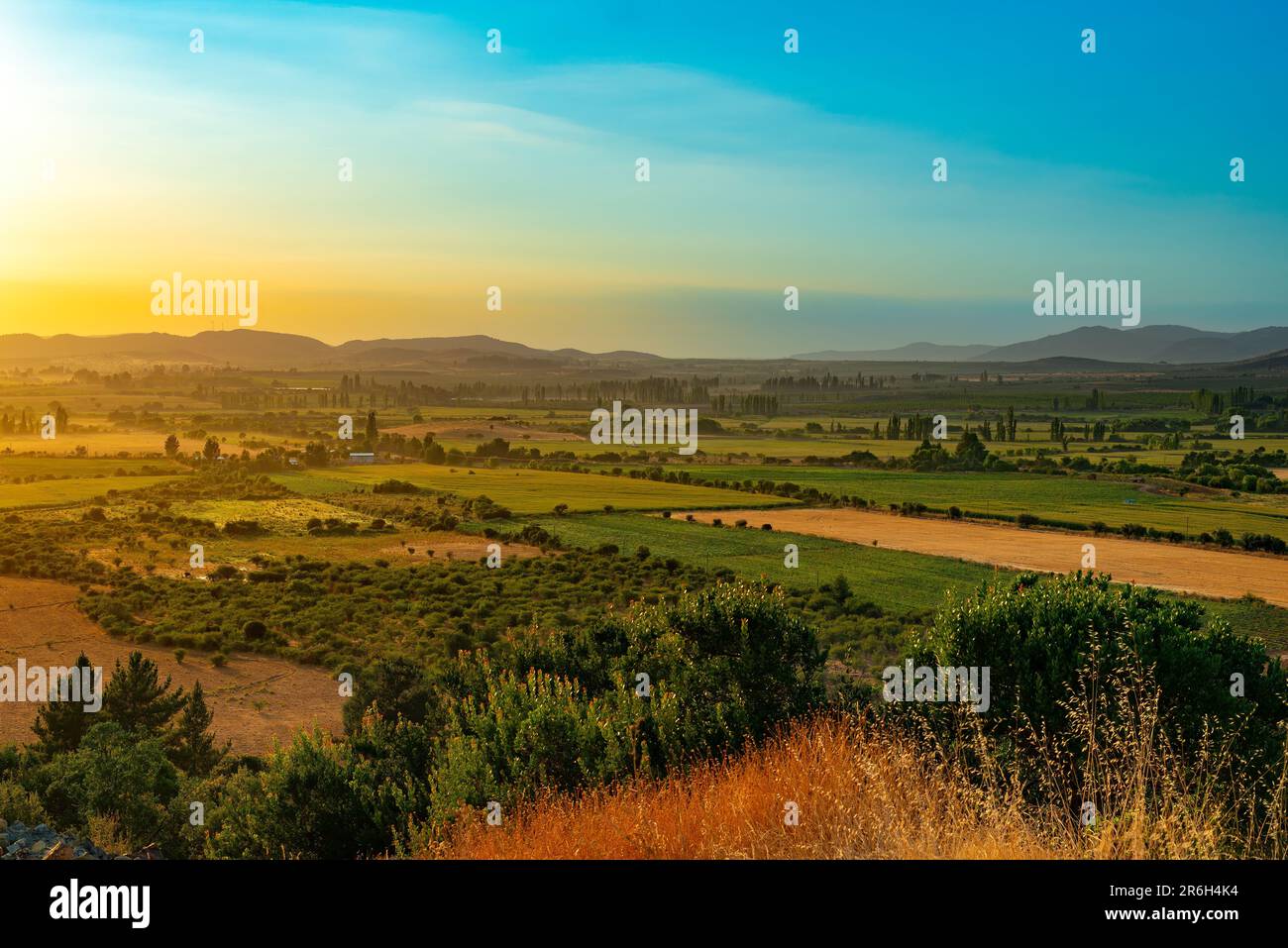 Dawn in the crop fields and farms at Region del Maule in Central Chile ...