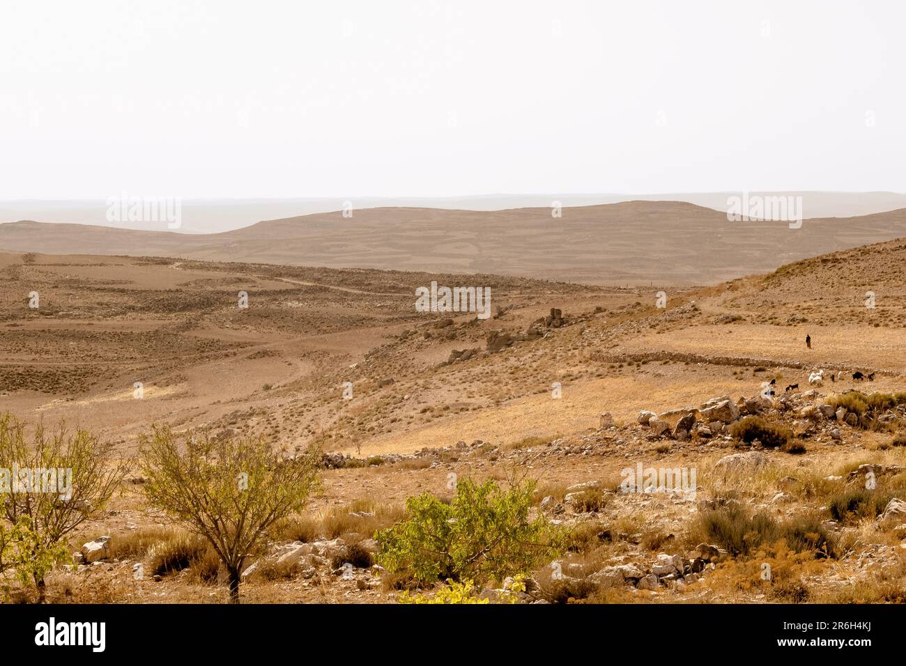 Landscape of the legendary King's Highway in Jordan, an ancient trade ...