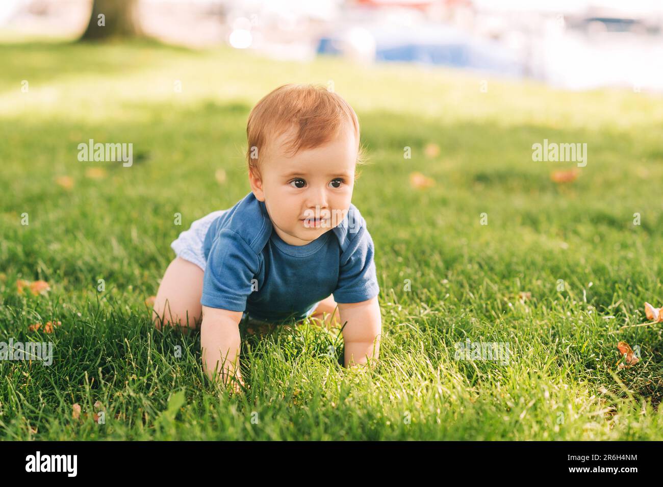 Toddler crawling outside yard hi-res stock photography and images - Alamy